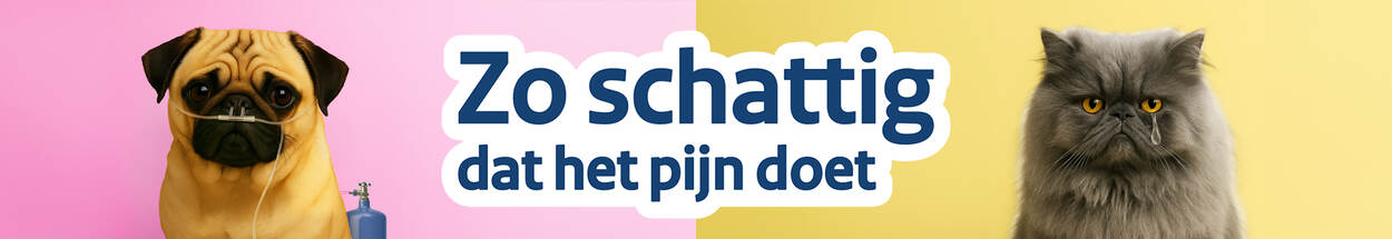 Dierenmishandeling en dierenverwaarlozing: ‘Waarom hebt u al die dieren in huis, als u het geld ...